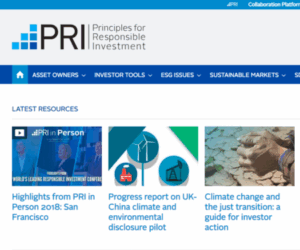 Cosa sono i Principi per gli Investimenti Responsabili (PRI) dell'ONU